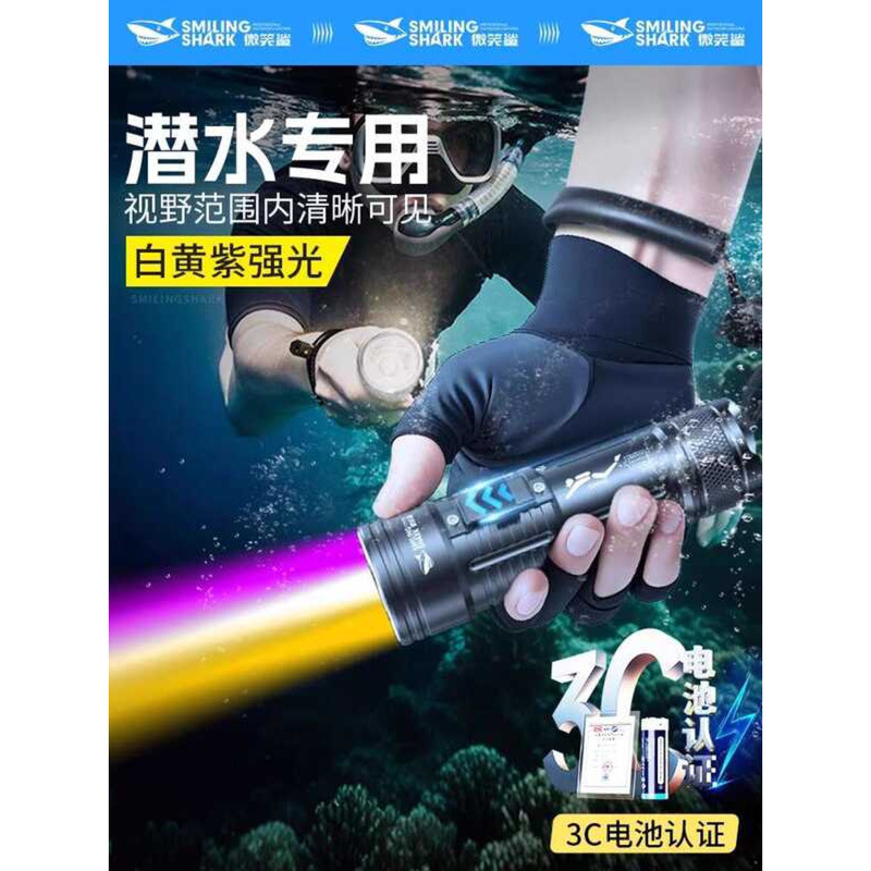 ☑♥ Flashlight Underwater Professional Strong Rechargeable Ultra Bright ...