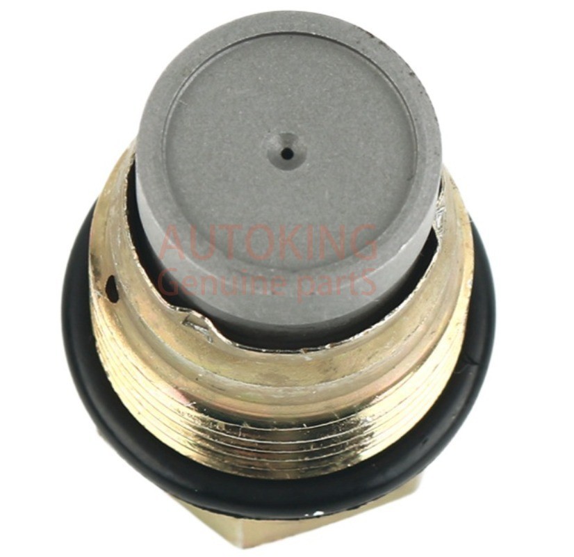 Fuel Rail Pressure Valve Relief Limiter Valve for DAF FORD KIA VOLVO ...