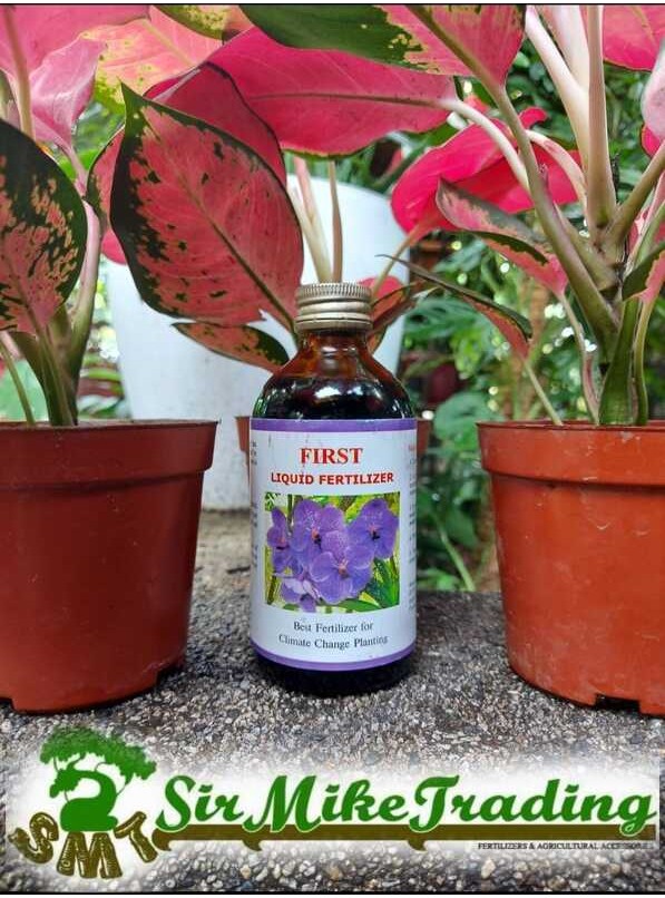 Una ang Liquid Fertilizer 120ml | Shopee Philippines