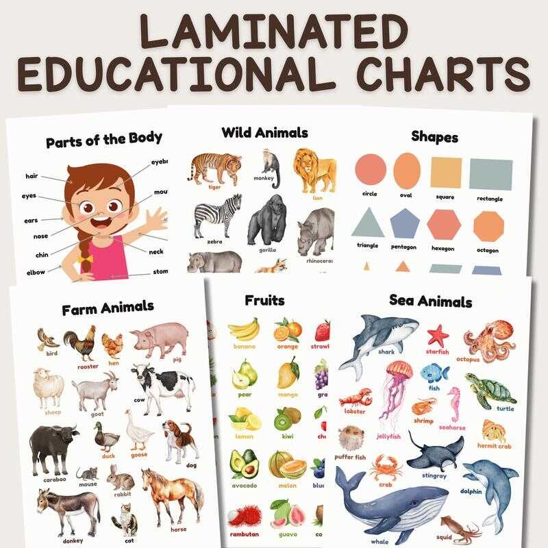 A4 Laminated Educational Charts For Kids – Minimalist Abc, Numbers ...