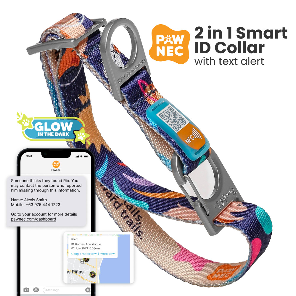 NeoCollar 2-in-1 collar with ID tag | Collar with Name Tag Dog and Cat ...