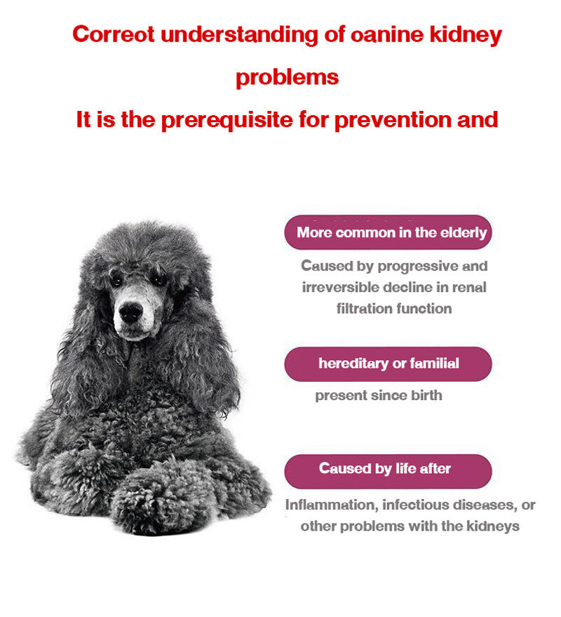 Royal Canin Dog Canned Wet Food for Chronic Renal Failure & Nephritis ...