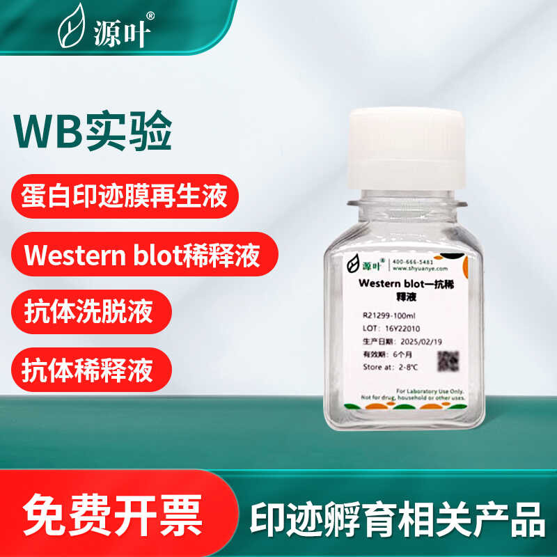 Yuan Ye Protein Blotting Membrane Regeneration Solution HRP AP Marker ...