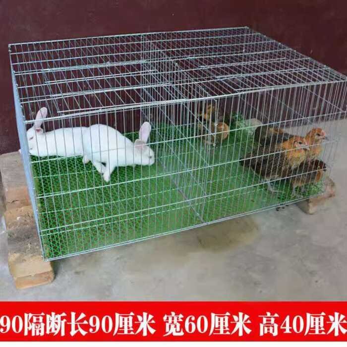 Sturdy Rabbit Pigeon Household Breeding Chicken Galvanized Wire ...