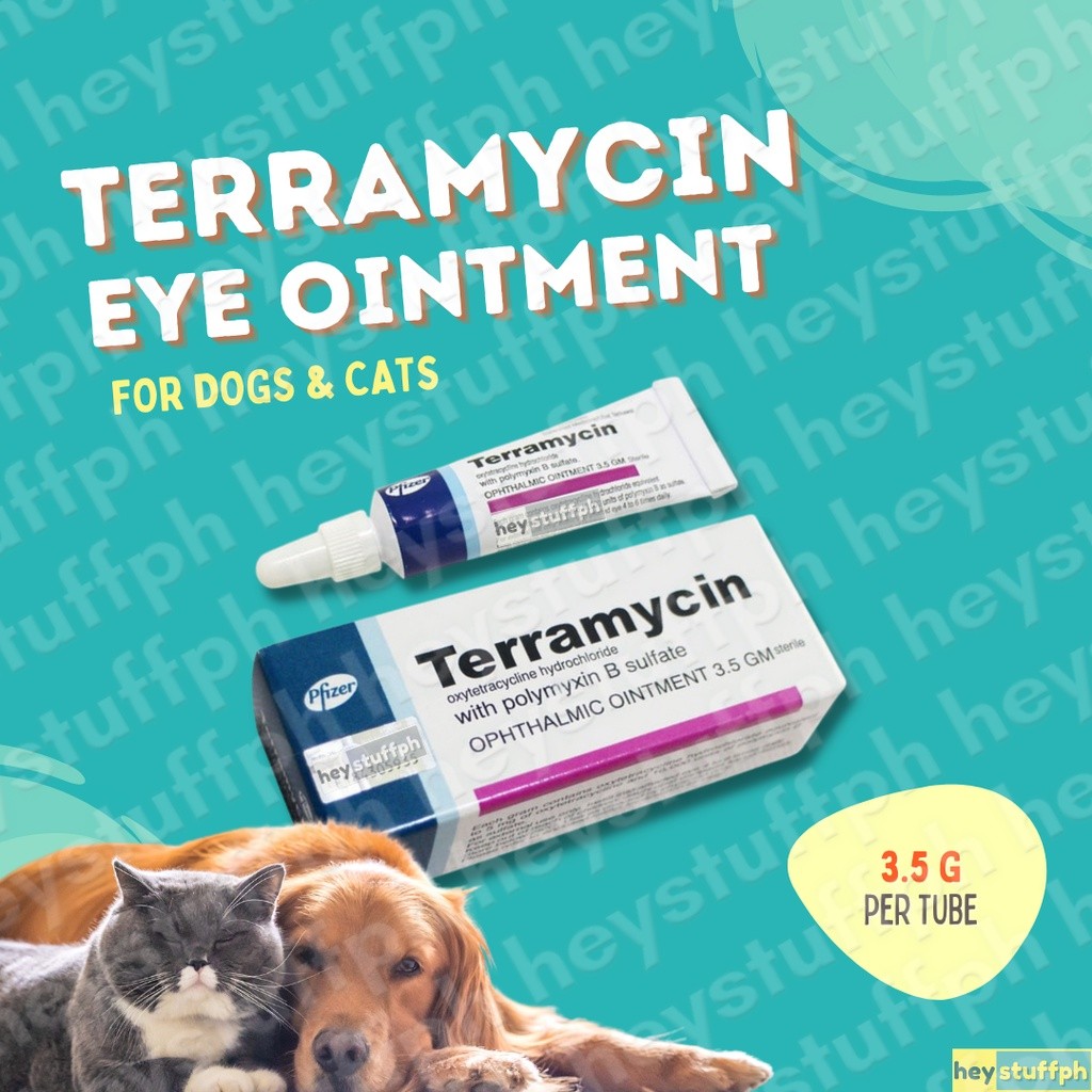 Terramycin 3.5g Ophthalmic Ointment Conjunctiva for Pets | Shopee ...