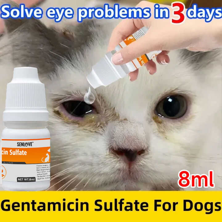 SENLOVE 8Ml Gentamicin Drop Cat Dog Drops For Infection Eye And Tear ...