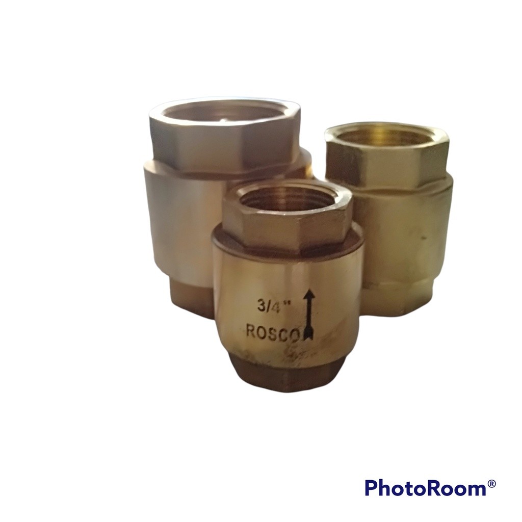 Rosco Vertical Check Valve (Available in 3/4' 1'' 1-1/4" ) | Shopee ...