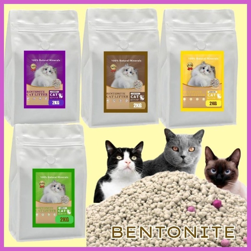 ♟ ⏛ ☂ 2kg Best pet premium Bentonite fast absorbing cat litter sand ...