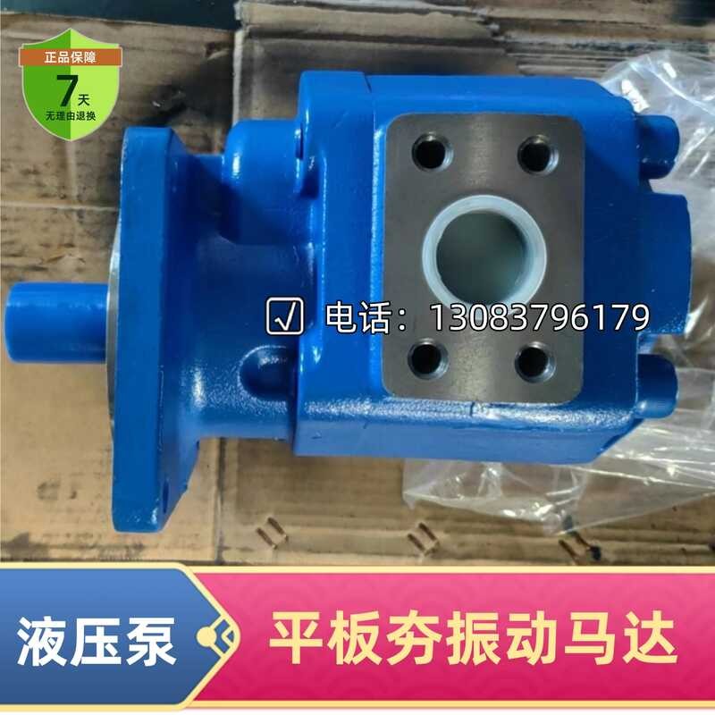 Plate Compactor Hydraulic Pump Vibration Motor Full Models Nationwide ...