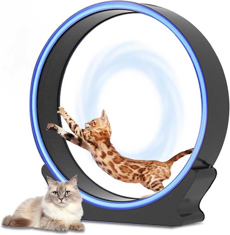 Homegroove Wheel, 42'' H Large Cat Wheels Indoor Cats,Cat Exercise ...