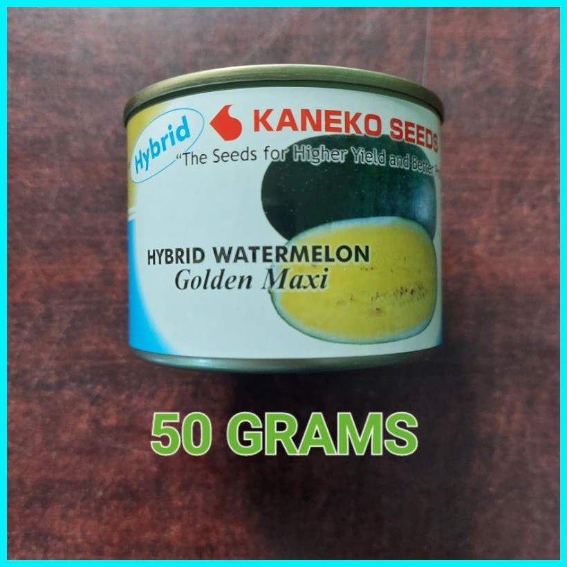 GOLDEN MAXI F1 (50 GRAMS) HYBRID YELLOW WATERMELON / DILAW NA PAKWAN BY ...