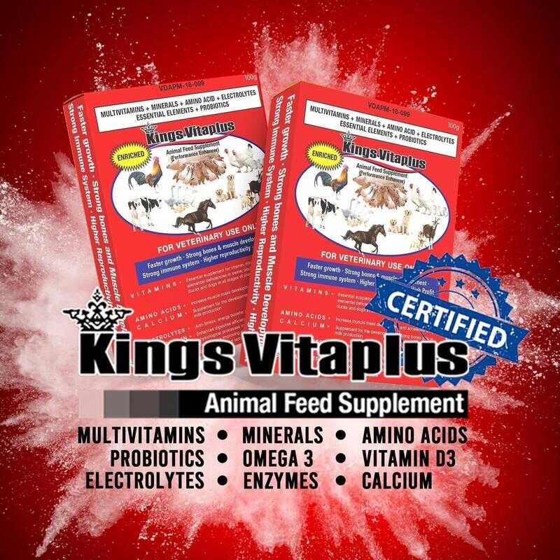 Fbc Kings Vitaplus Animal Feed Supplement (100 Grams) | Shopee Philippines