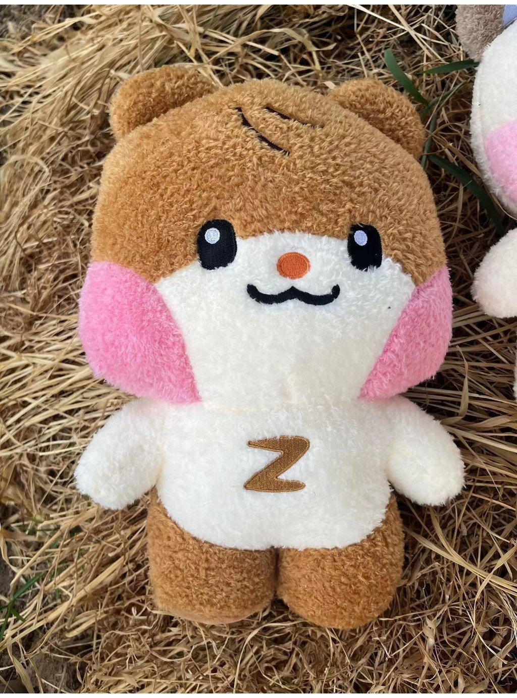ZEROBASEONE ZB1 Zeroni Stuffed Toys Push Doll | Shopee Philippines