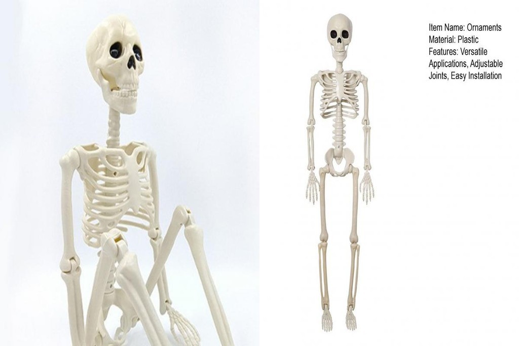 XPS Adjustable Pose Skeleton Figure Skeleton Halloween Decorations ...