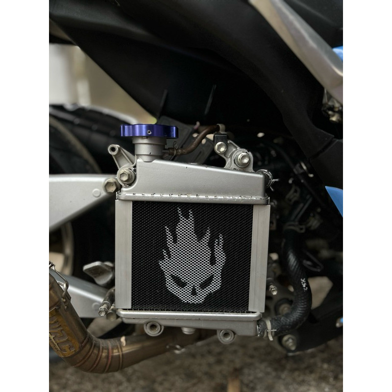 Radiator net cover - VARIO AEROX PCX NMAX LEXI style radiator plate ...