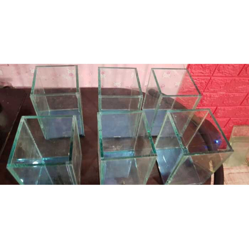 Beta Tank Fish Aquarium Mini 4X4x6 | Shopee Philippines