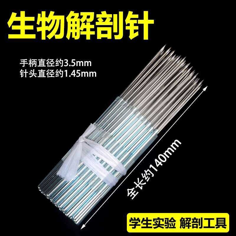 Insect Needle Straight Tip Middle School Biological Experiment Probe ...