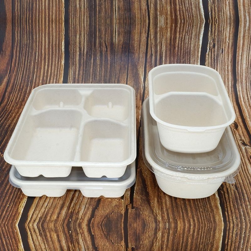 Paper Pulp Lunch Box, Disposable Lunch Box, Three-compartment, Four ...