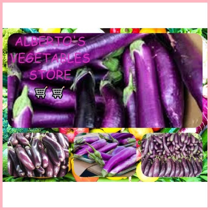 ♠ ♧ FRESH VEGETABLES EGGPLANT ( TALONG) 500g | Shopee Philippines
