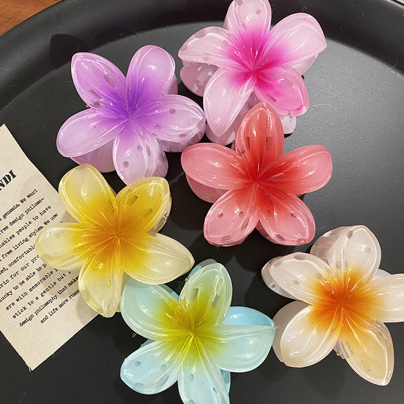 6pcs/set Hawaii Flower Hair Clamp for Women Girl Colorful Plumeria ...