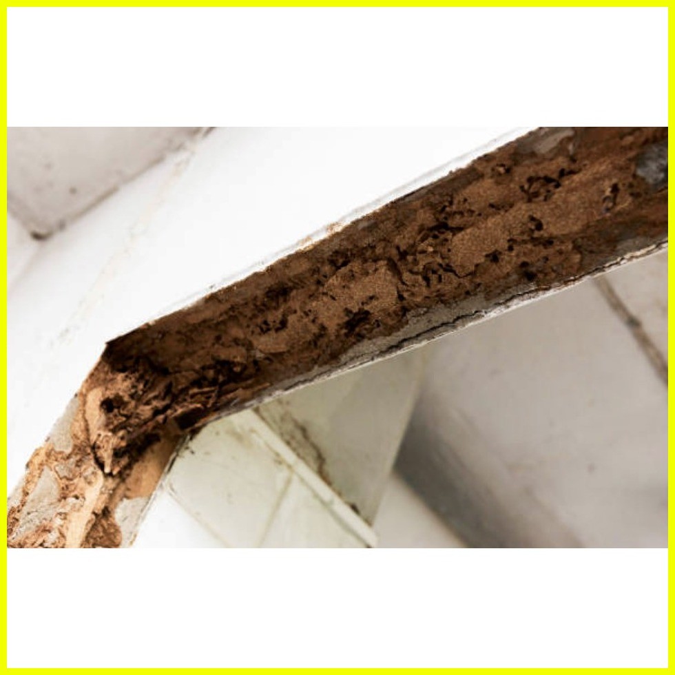 ☪ ╟ TERMITE X ANTI TERMITE KILLER SPRAY ( ANAY CONTROL FOR WOOD SOIL ...