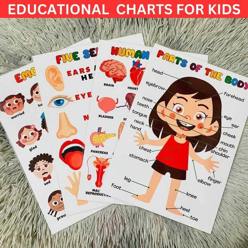 Laminated Wall Charts/Cards For Kids - Educational Alphabets, Numbers ...