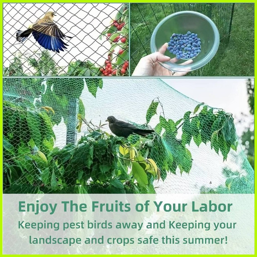 50M/100M Range Chicken Poultry Net Fish Net Fence Net Garden Net ...