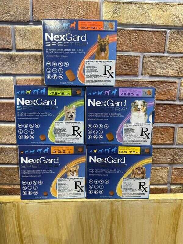 Nexgard SPECTRA Chewable Tablet For Dogs Pet With Sticker CWY 5D4 ...