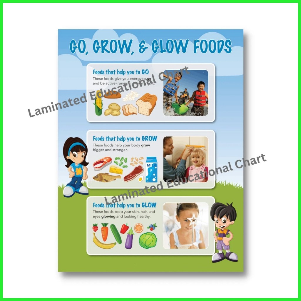 Laminated Go, Grow & Glow Foods Chart for Kids, Learners and Educators ...