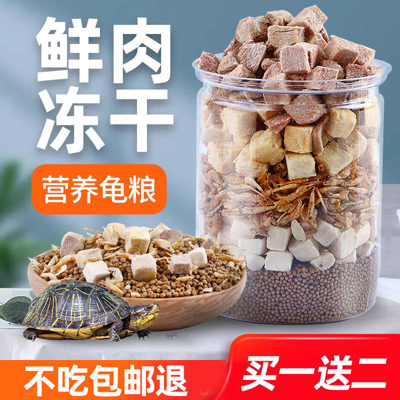 Turtle Food Turtle Feed Turtle Turtle Food Snapping Turtle Universal ...