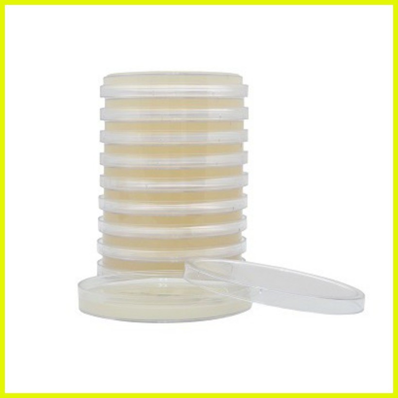 Potato Dextrose Agar Media PDA Petri Dish - 10pc Standard Potato ...