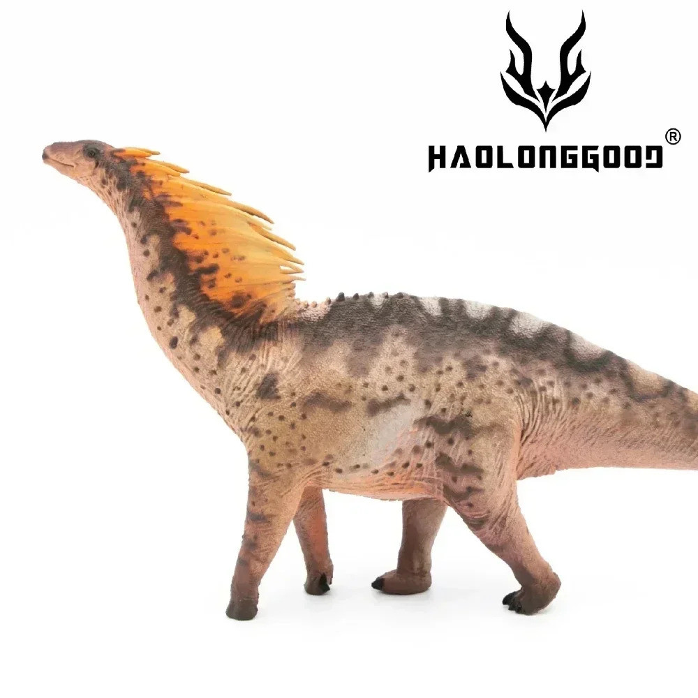 HAOLONGGOOD 1/35 ☊ Scale Dinosaur Figures Amargasaurus Toy Prehistoric ...