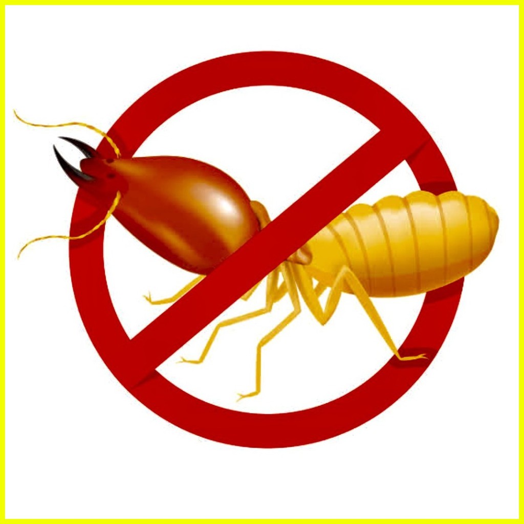 PROBUILD TERMITE CONTROL 500ml ANTI TERMITE KILLER SPRAY ( ANAY CONTROL ...