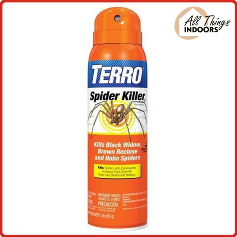 Terro Spider Killer Aerosol T2300 (16 Oz) | Shopee Philippines