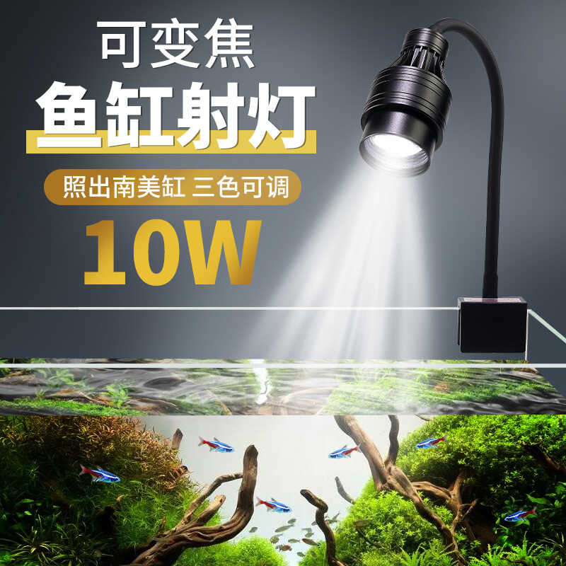 Fish tank light zoom light spotlight native tank aquarium viewing light ...