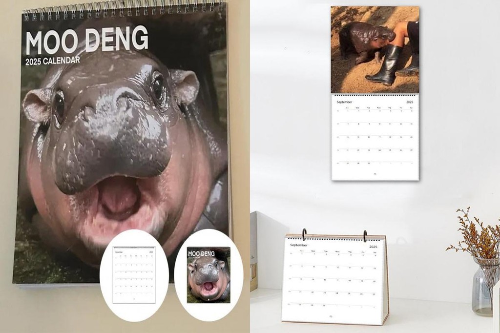 LVST_ Fun and Colorful Wall Calendar Colorful Calendar for Room Decor ...