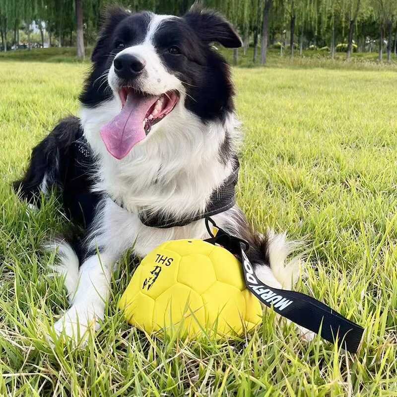 Interactive 3 Throwing Game Soccer Bite-Proof Ball Toy Cowhide Harmless ...