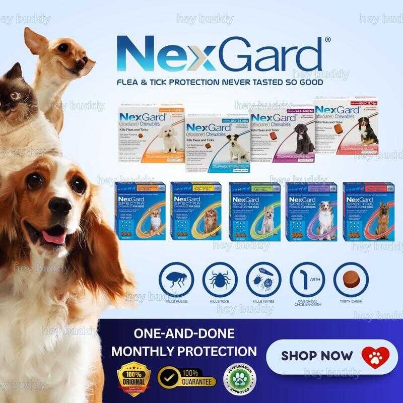Nexgard Spectra 1 Tablet And Axaner Chewable Anti Tick & Flea Bravecto ...