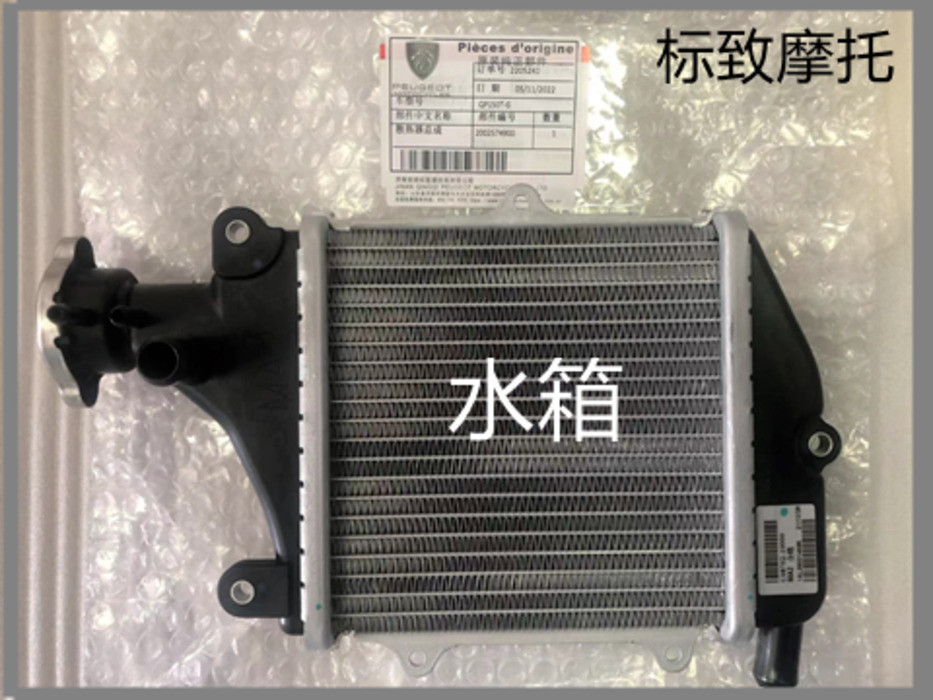Peugeot Motorcycle Cooled Jianguo Speed Battle SF4 Radiator Assembly ...