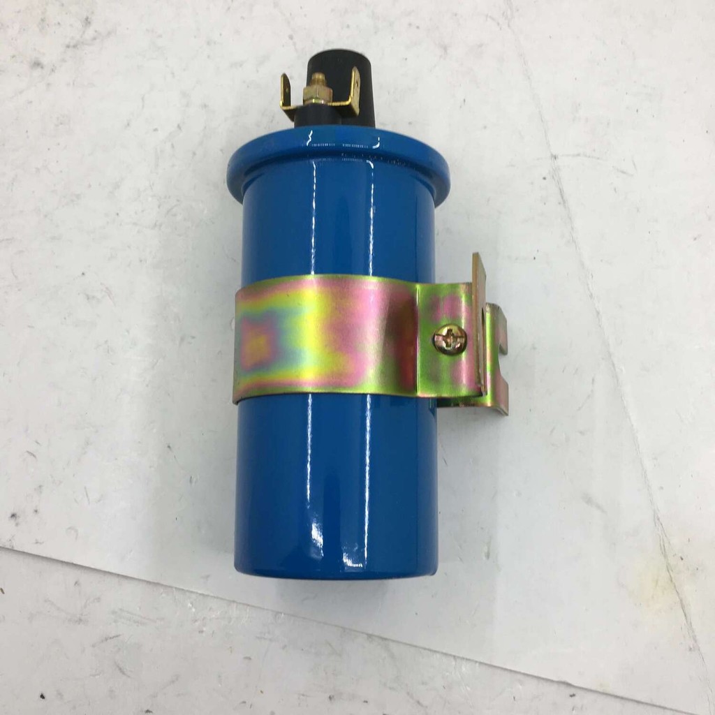 asul SherryBerg kulay - IGNITION COIL 12 VOLT BLUE FI PARA 1 BUG 2 BUS ...