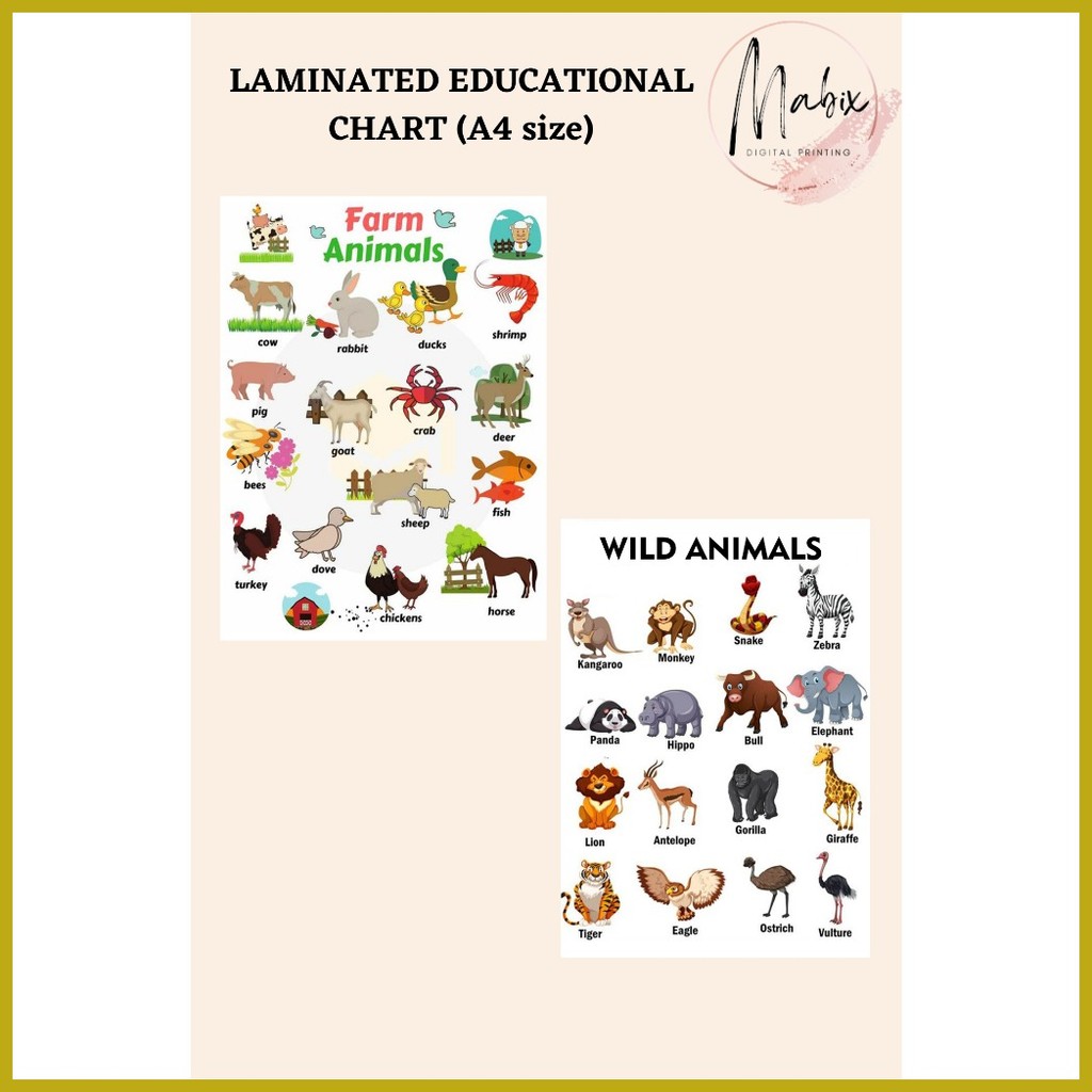 ∆ LAMINATED EDUCATIONAL CHARTS FOR KIDS A4 size | Shopee Philippines