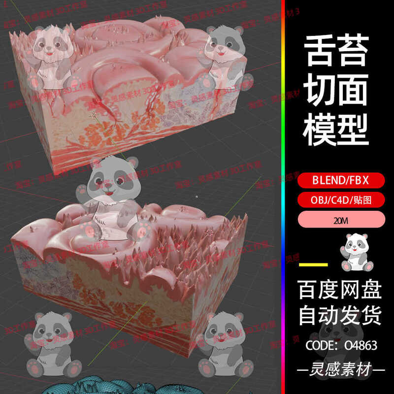 Blender human organ tongue coating sectional anatomy 3D model fbx ...