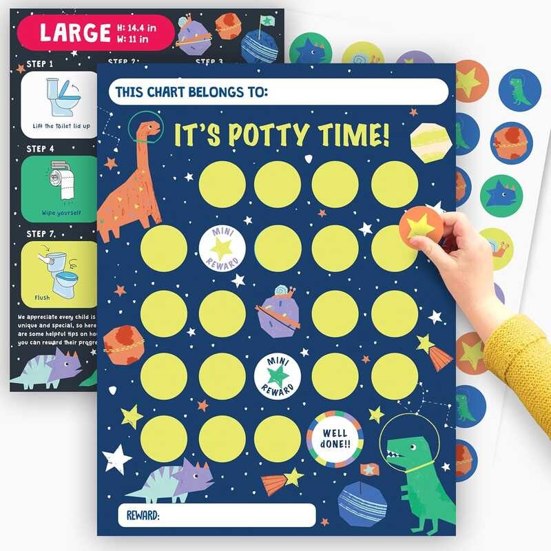 Sticker Boys Space Dino Dinosaur Potty Training Reward for Son Grandson ...