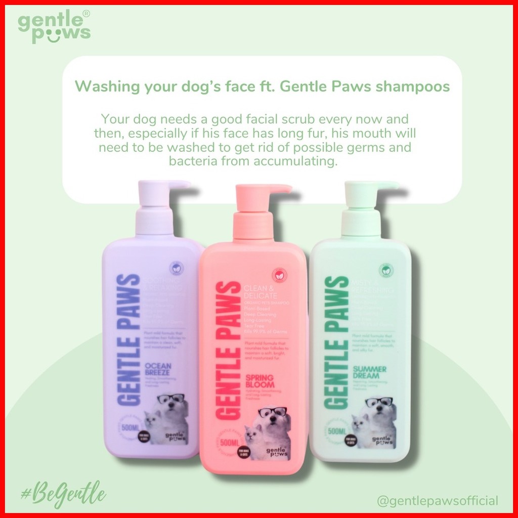 Gentle Paws Natural Plant Based Pet Shampoo For Dogs & Cats For Anti ...