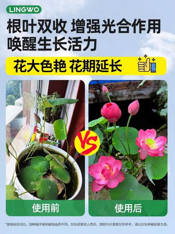 Bowl espesyal na nutrient solution lupa cultivation lotus flower ...