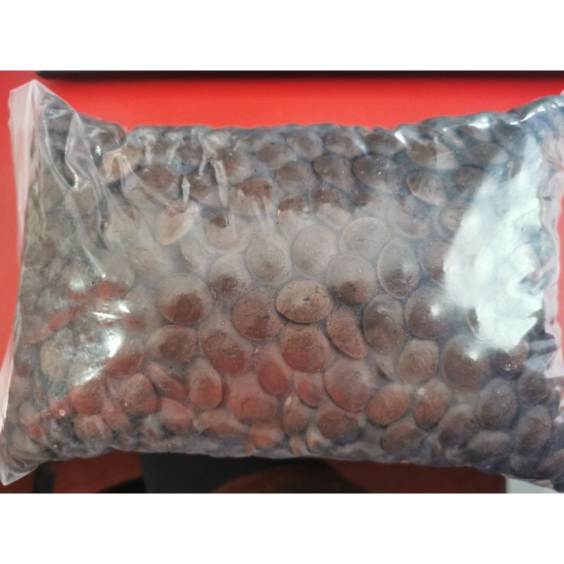 in stock Biji Benih Sacha Inchi (kg) | Shopee Philippines