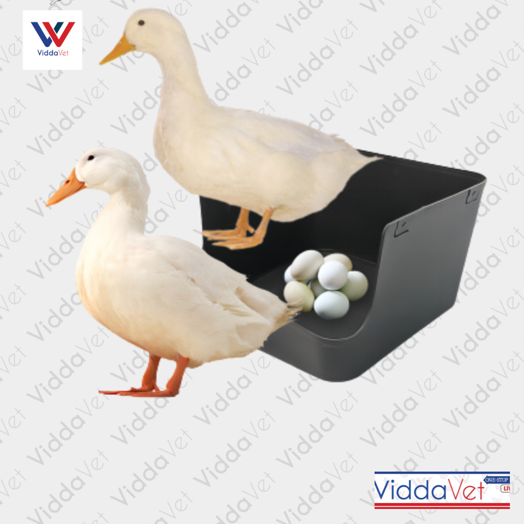 Egg Nest Box for Poultry Farms Goose Duck Duck Nesting Box • Long ...