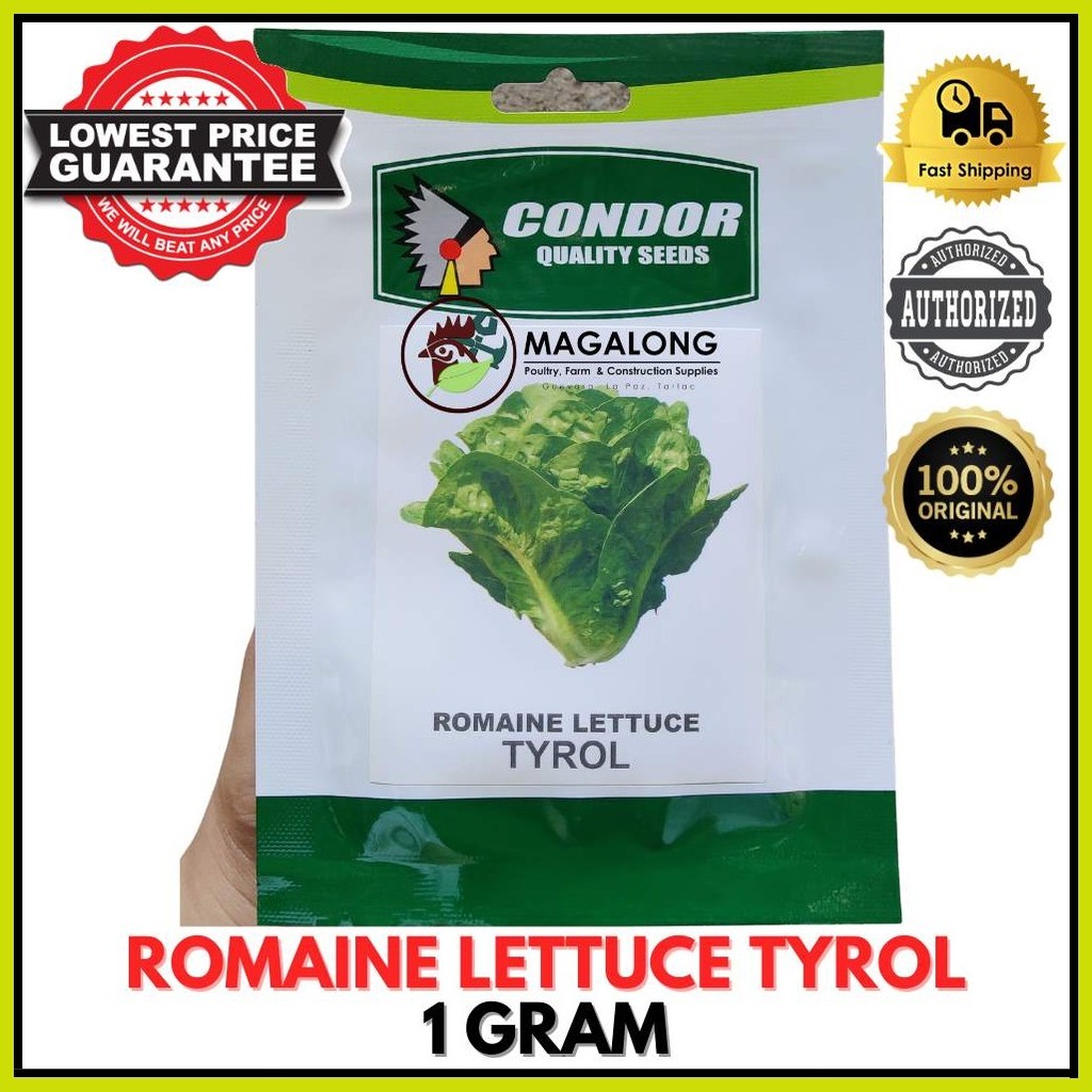CONDOR SEEDS - LETTUCE SEEDS - TYROL - 1 GRAM | Shopee Philippines