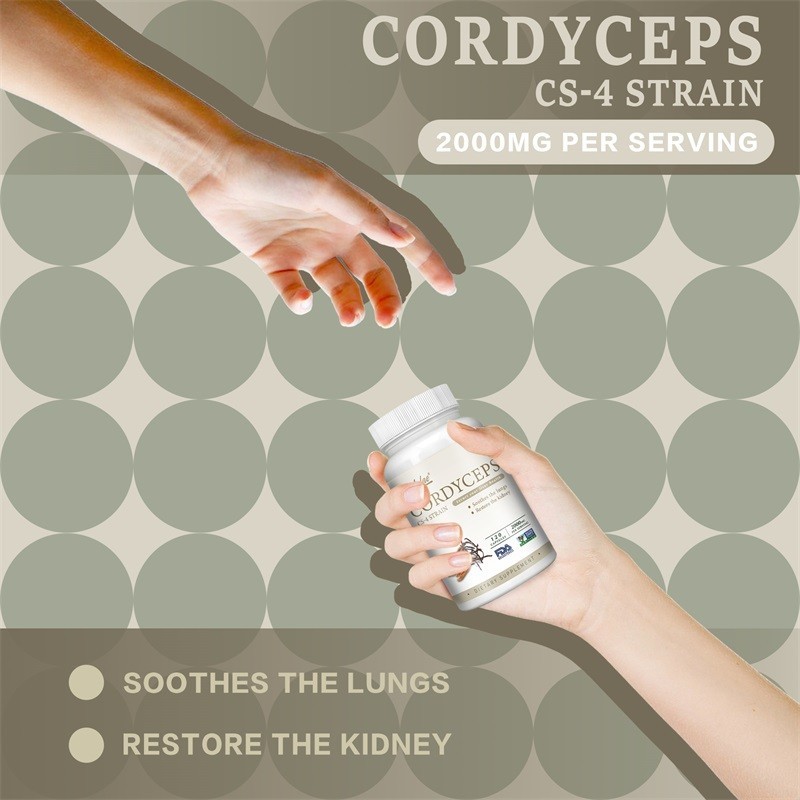 CORDYCEPS，Highly absorbable, natural antioxidant，Improve lung and ...