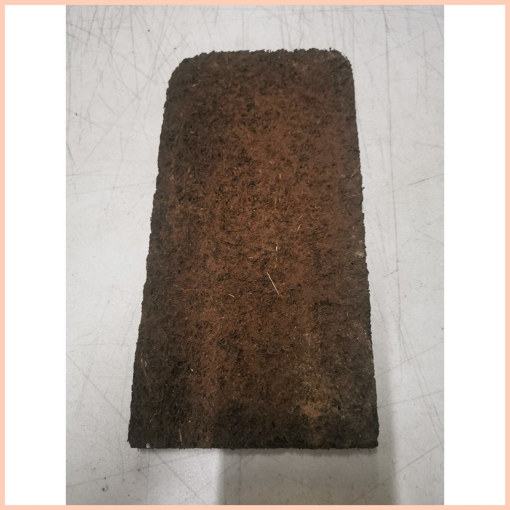 ⊕ ஐ FERN SLAB FOR ORCHIDS (25.5CM X 12.75CM X 2.5CM) (1 PC) | Shopee ...